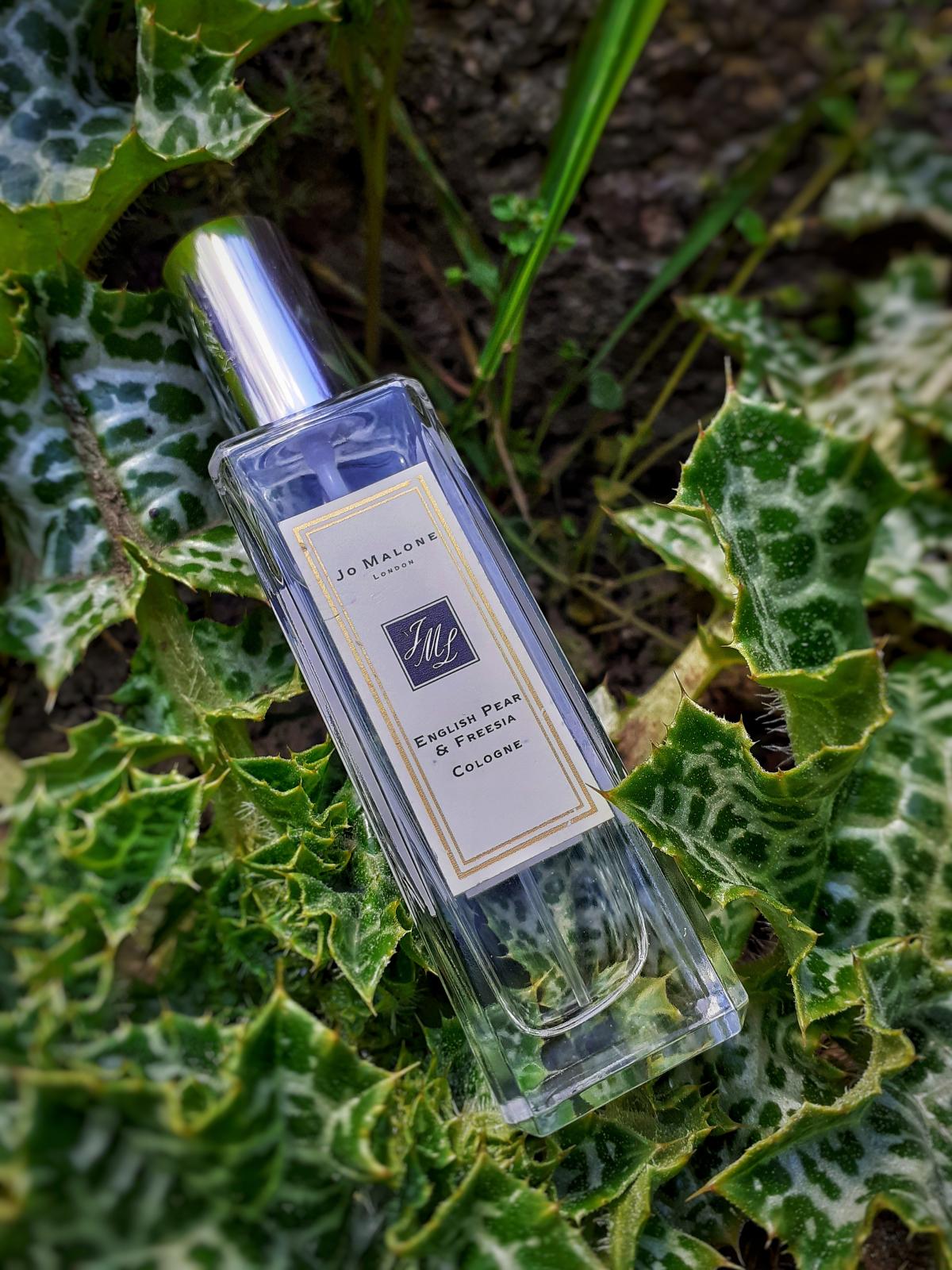 English Pear & Freesia Jo Malone London perfume - a fragrance for women ...