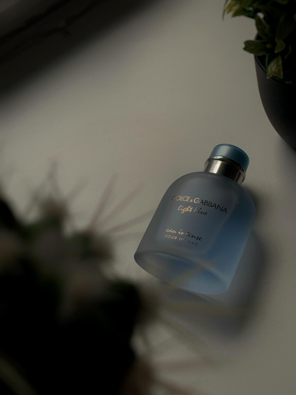 Light Blue Eau Intense Pour Homme Dolce&Gabbana cologne - a fragrance ...