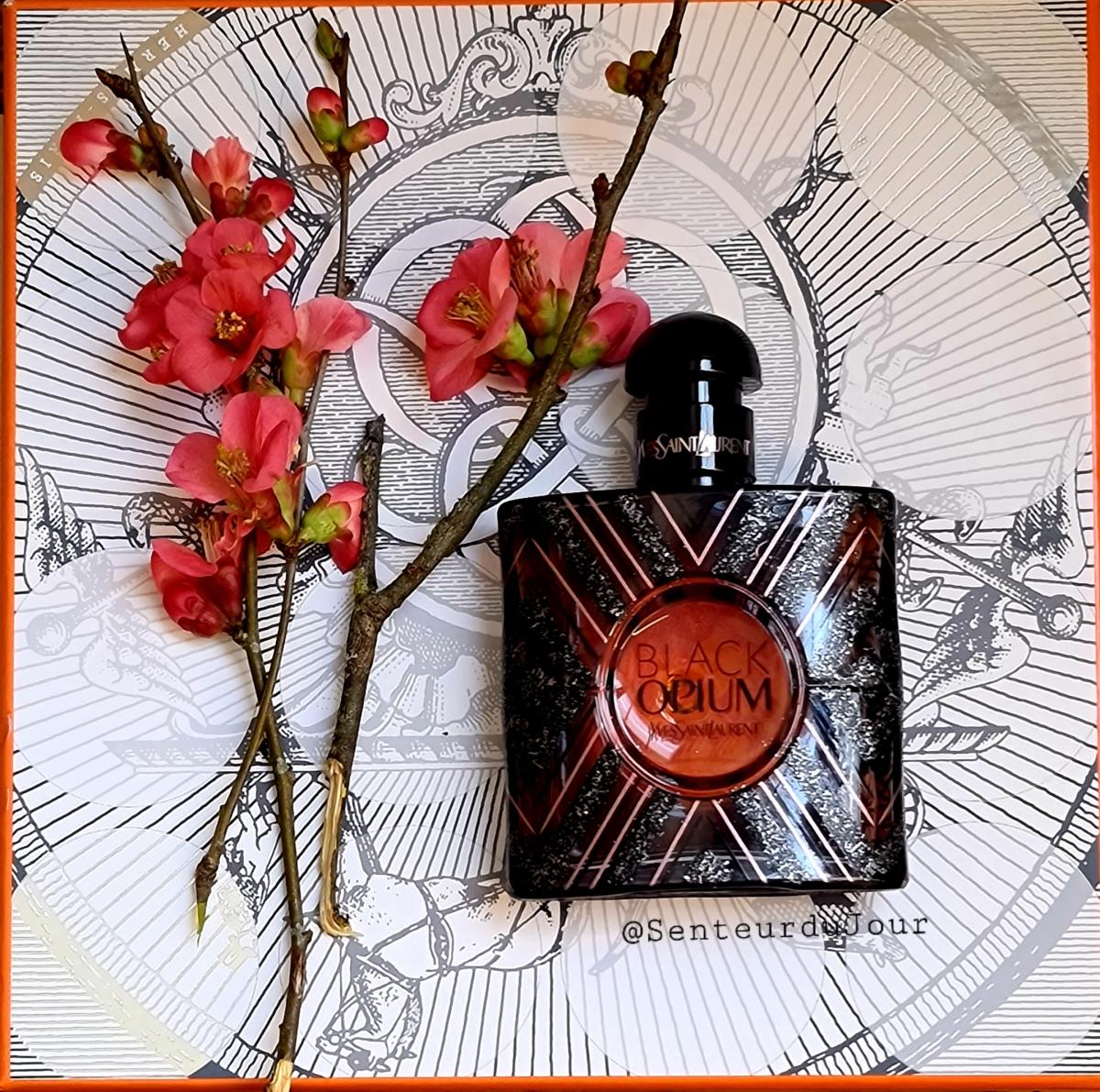 Black Opium Pure Illusion Yves Saint Laurent - una fragranza da donna 2017