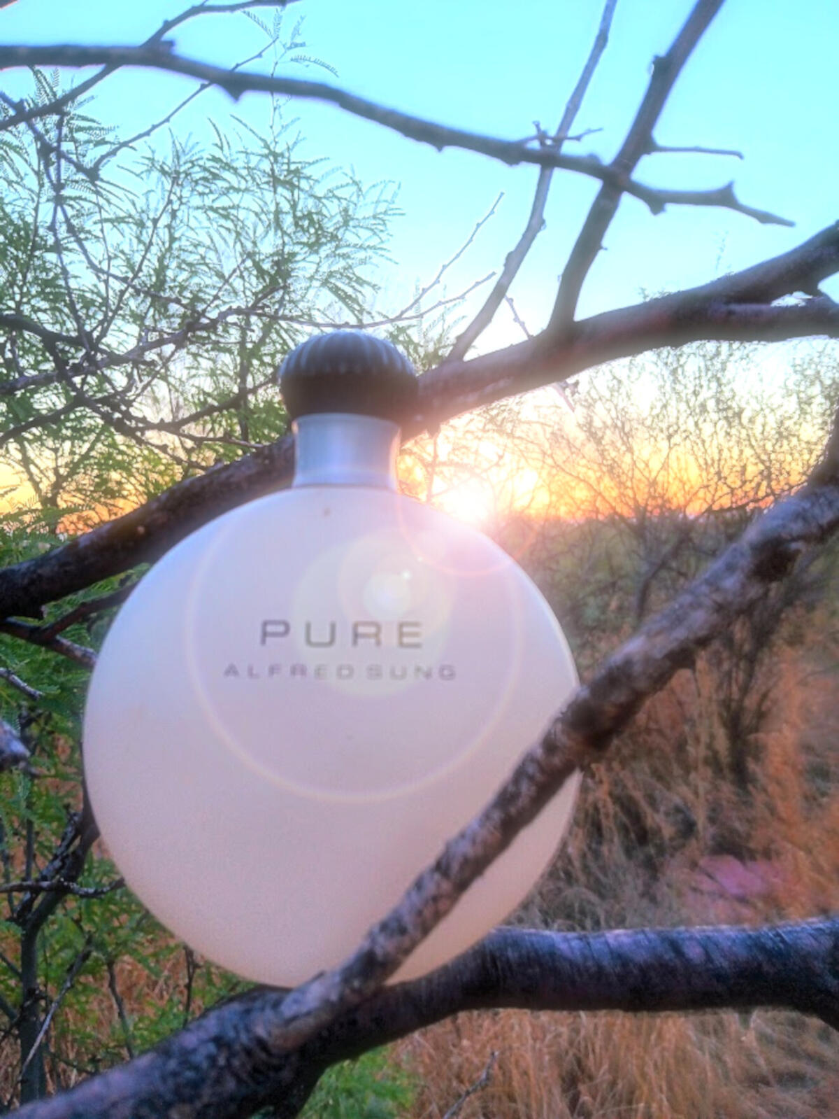 Pure Alfred Sung perfume - a fragrance for women 1997