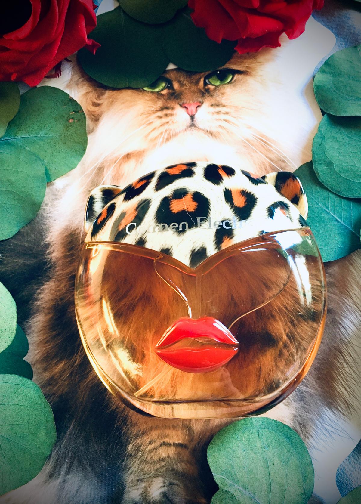 Rrrr! Carmen Electra perfume - a fragrance for women 2015