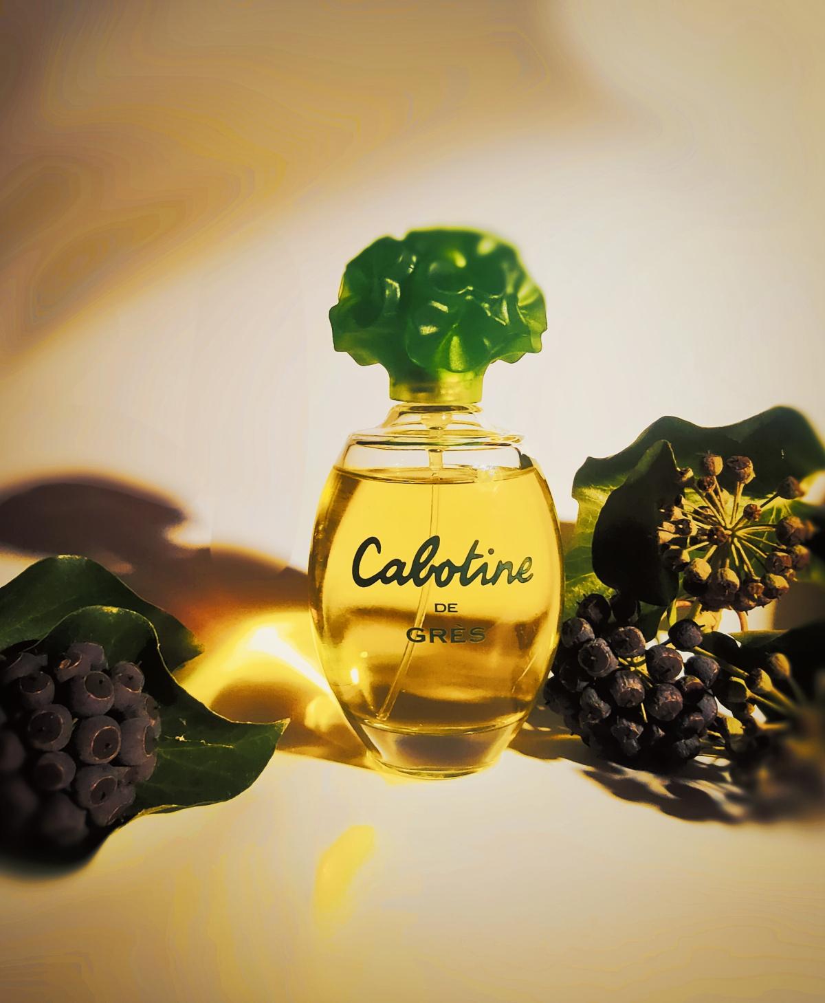 Cabotine Grès аромат — аромат для женщин 1990