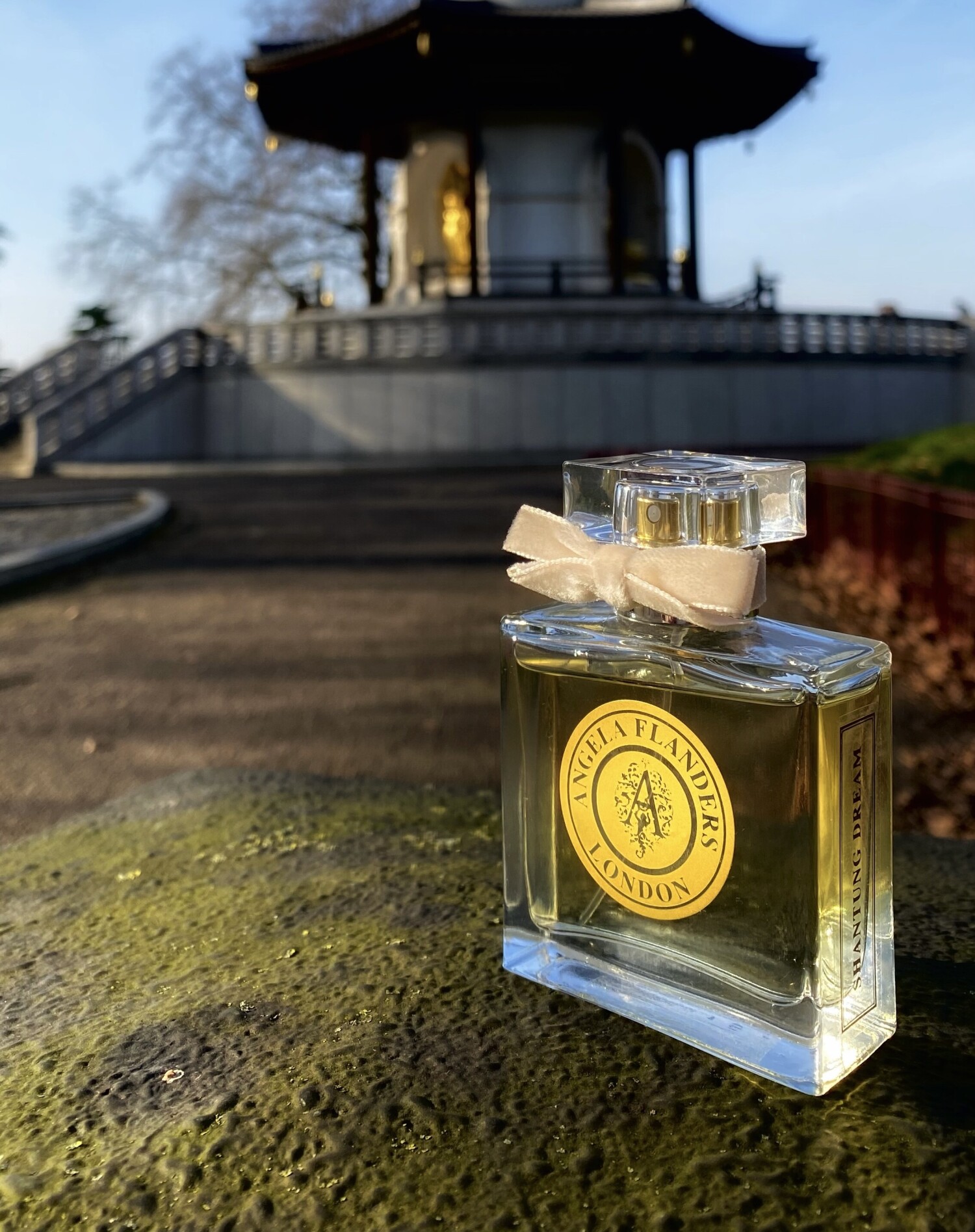 Shantung Dream Angela Flanders perfume - a new fragrance for women and ...