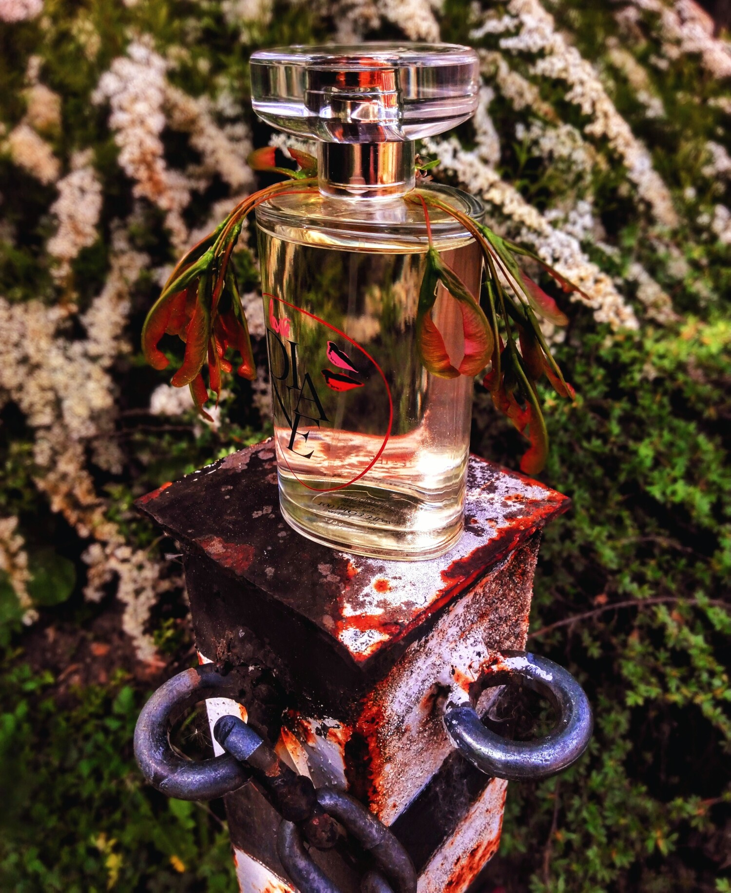 Love Diane Diane von Furstenberg perfume - a fragrance for women 2012