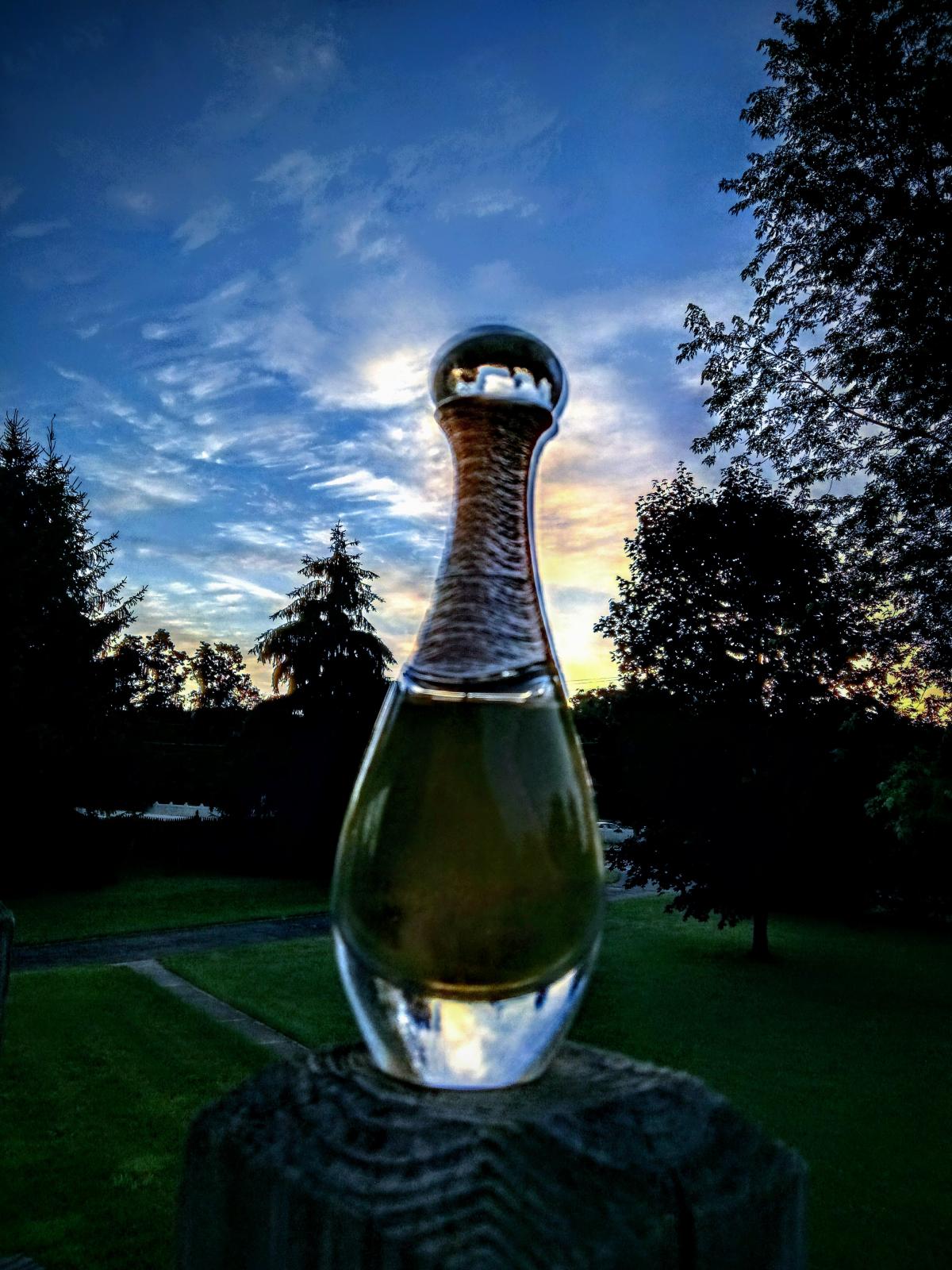 J'Adore L'Or Dior perfume - a fragrance for women 2010