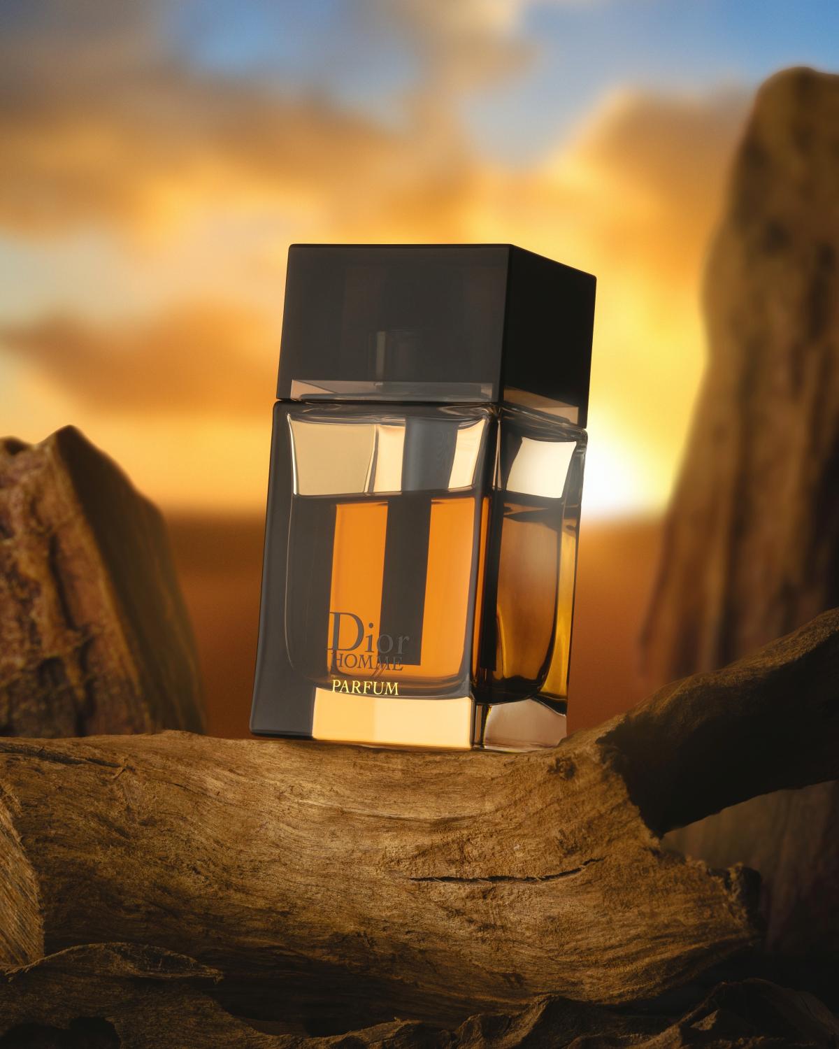 Dior Homme Parfum Dior cologne - a fragrance for men 2014