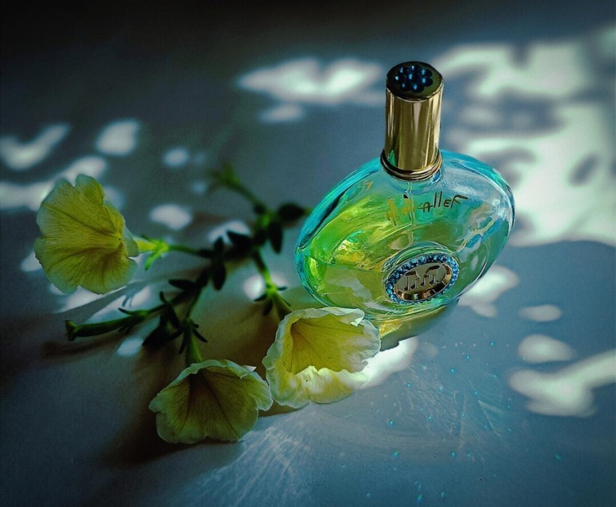 Night Aoud M. Micallef perfume - a fragrance for women