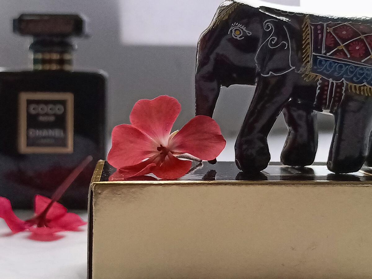 Coco Noir Chanel perfume - a fragrance for women 2012