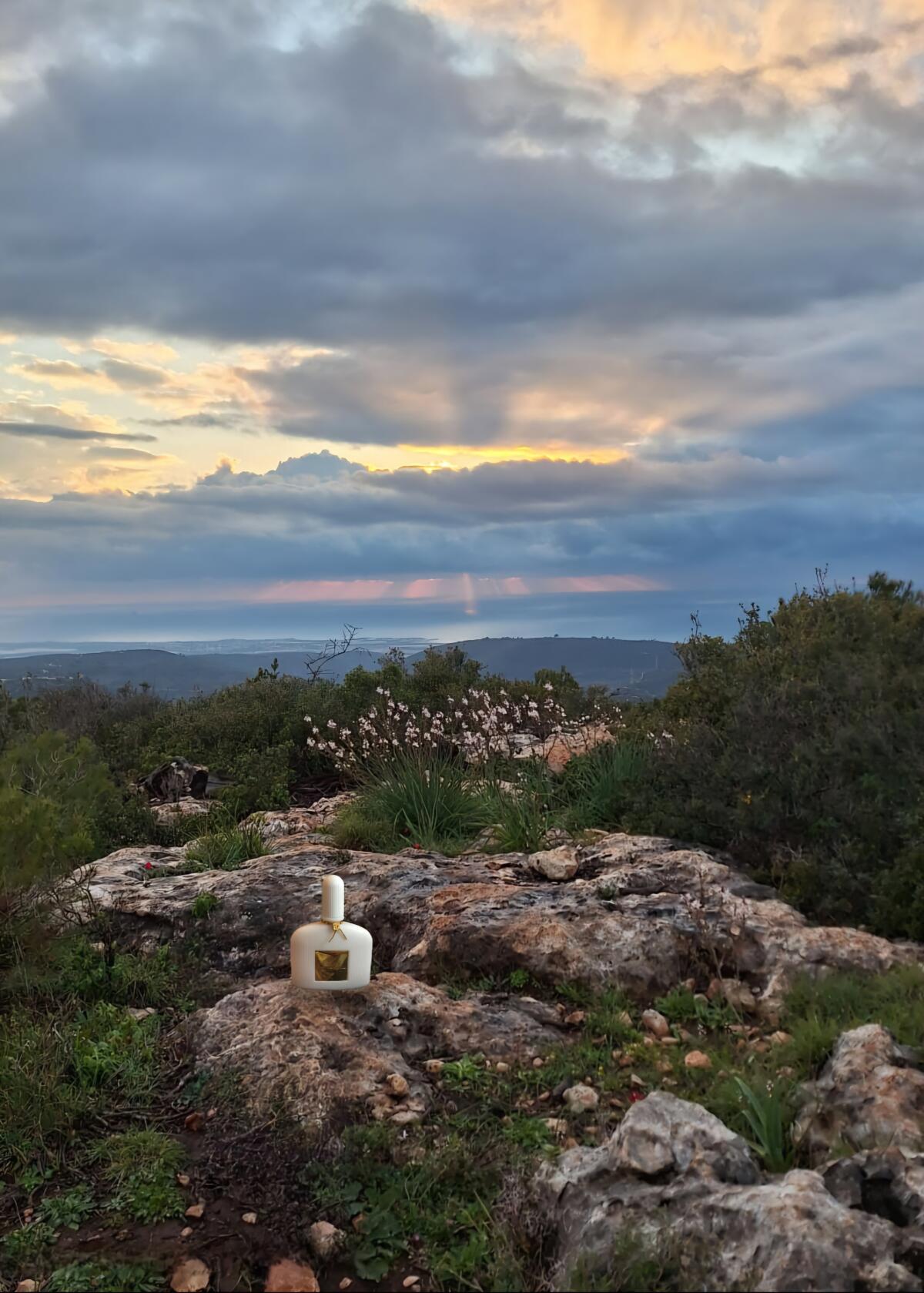 White Patchouli Tom Ford parfem - parfem za žene 2008