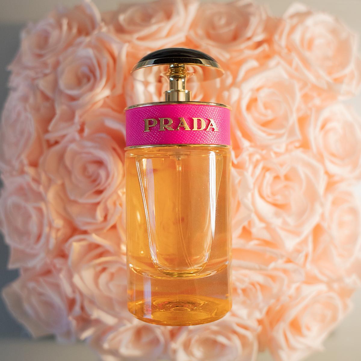 Prada Candy Prada perfume - a fragrance for women 2011