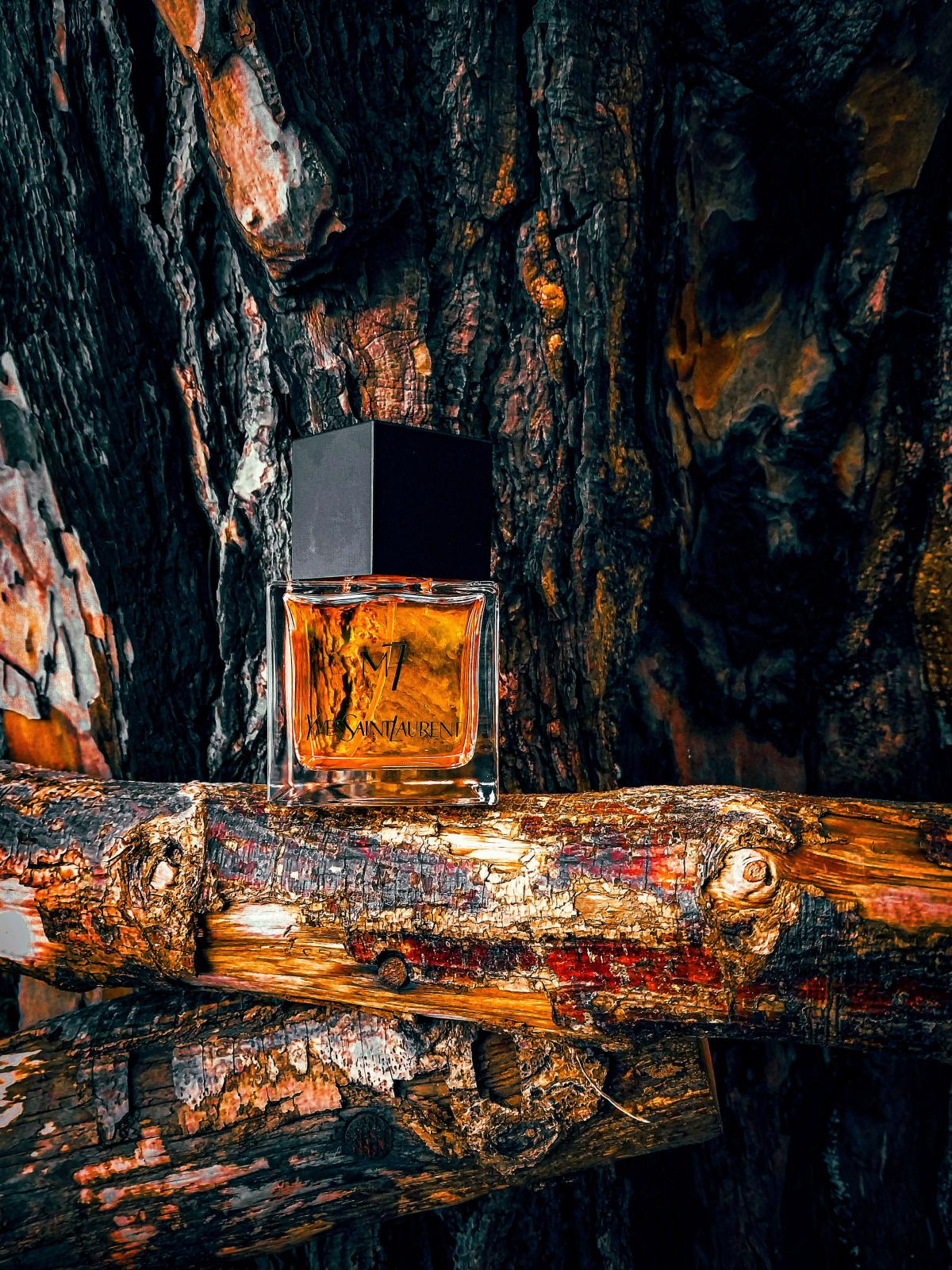 M7 Yves Saint Laurent cologne - a fragrance for men 2002