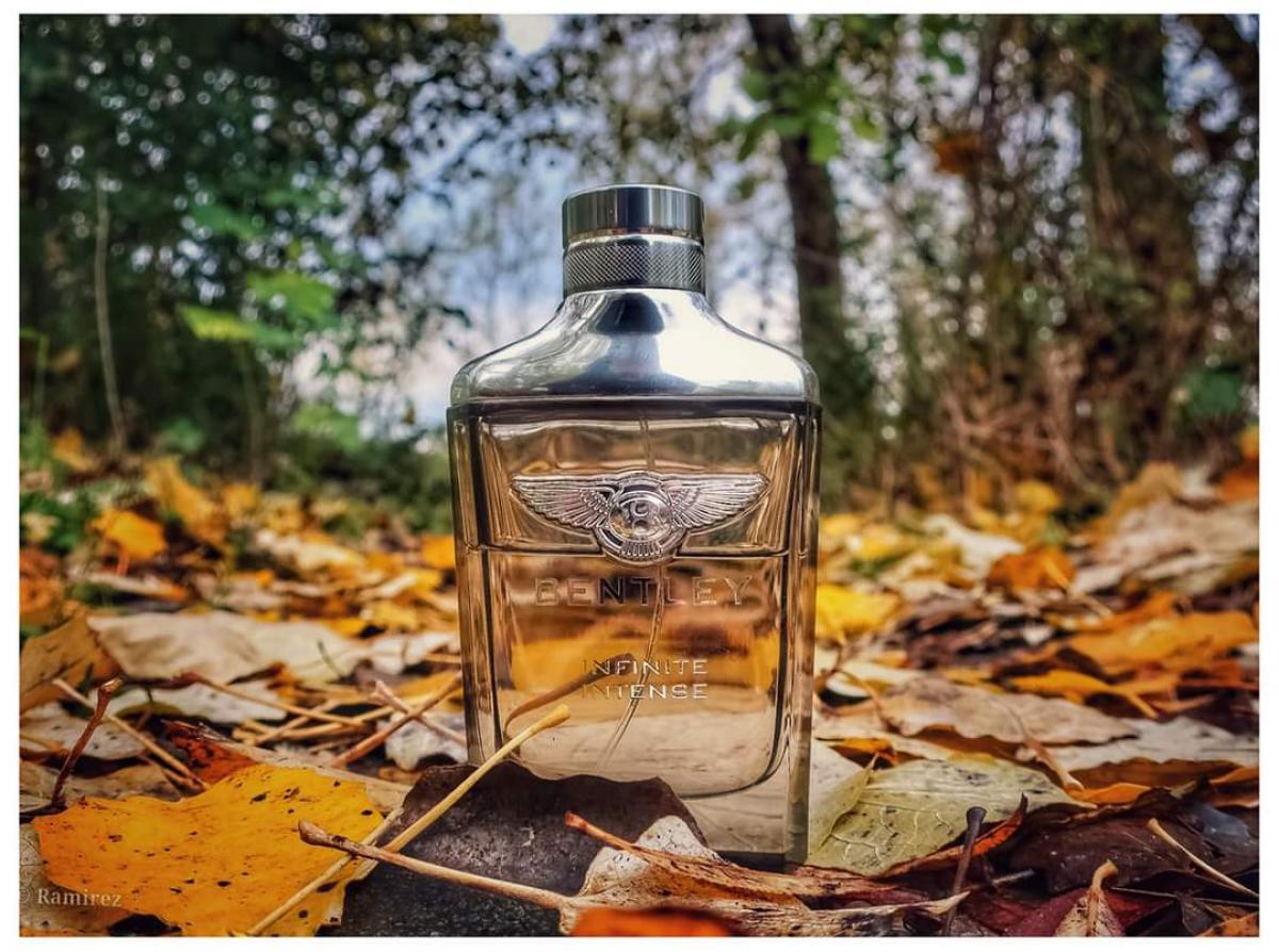 Infinite Intense Bentley Cologne - un parfum pour homme 2015