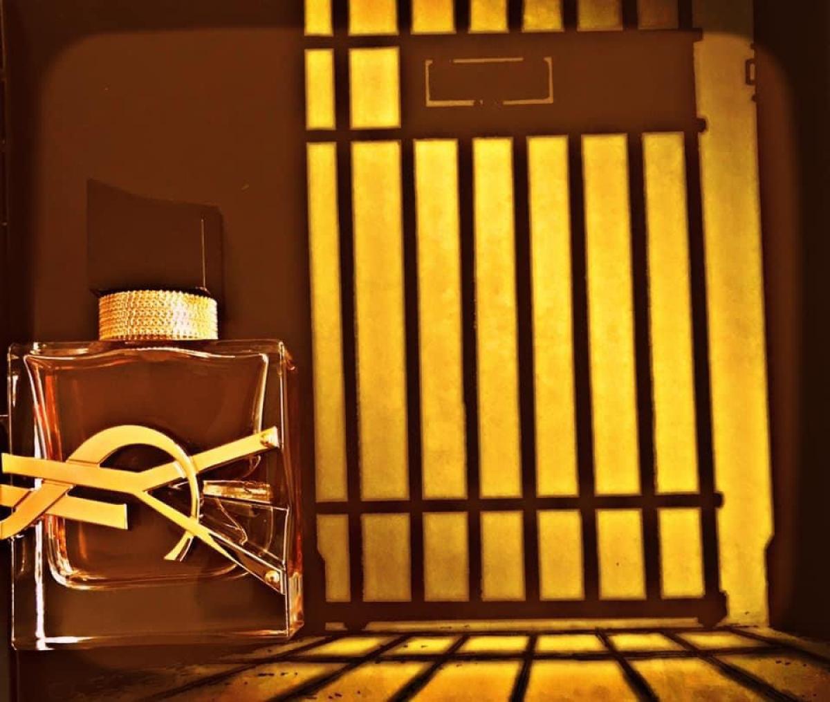 Libre Intense Yves Saint Laurent perfume - a fragrance for women 2020