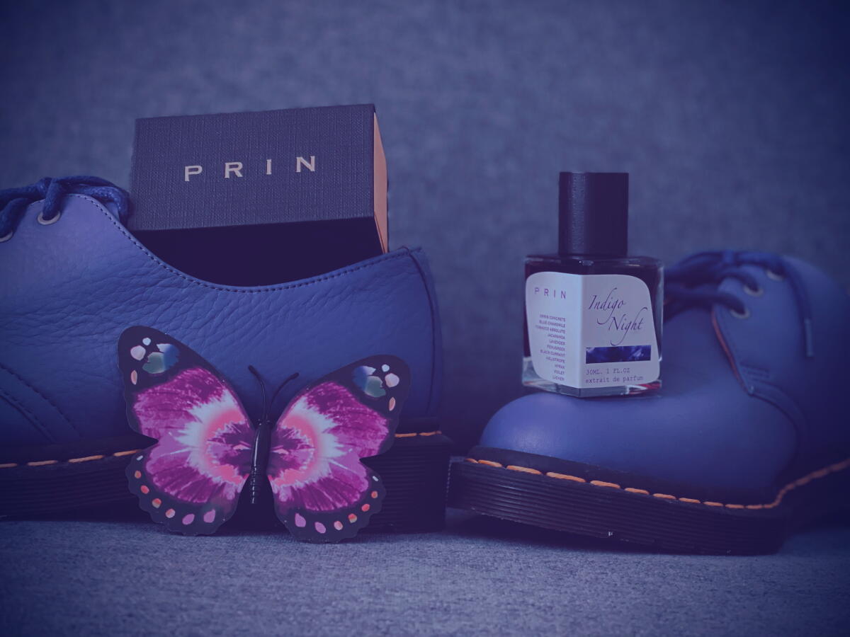 Indigo Night Prin perfume - a new fragrance for women and men 2024
