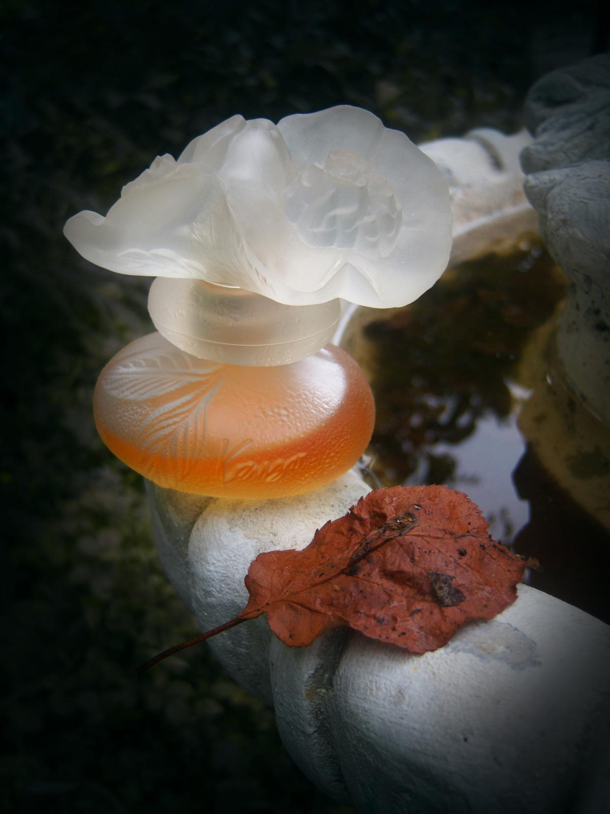 Kenzo Kenzo perfume - a fragrance for women 1988