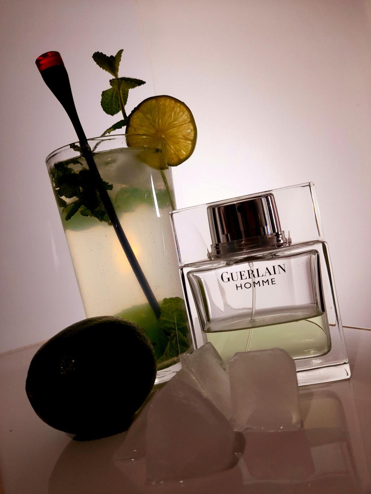 Guerlain Homme Guerlain Colônia - a fragrância Masculino 2008