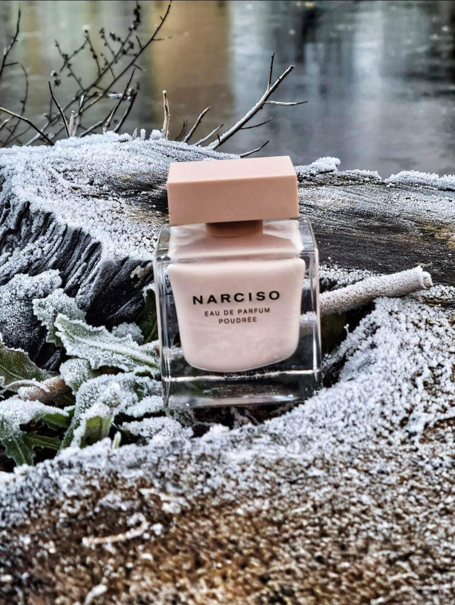 Narciso Poudree Narciso Rodriguez perfume - a fragrance for women 2016