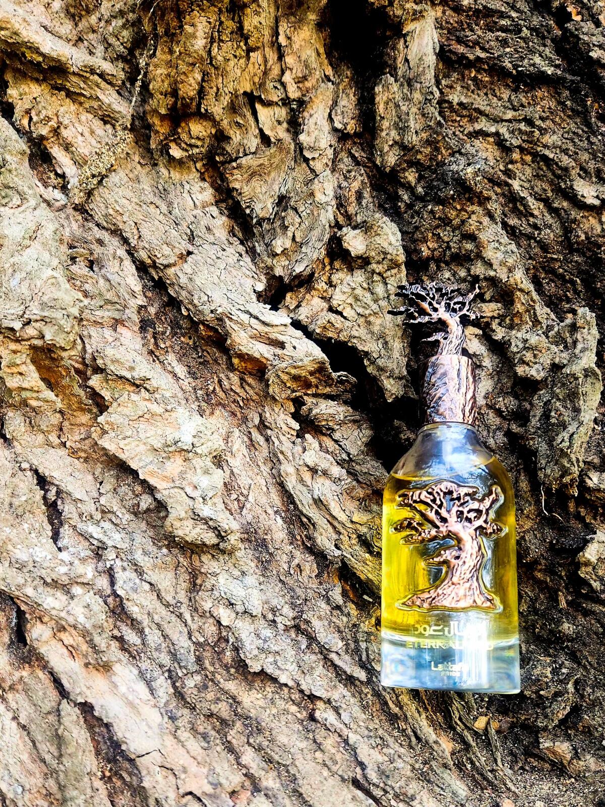 Eternal Oud Lattafa Perfumes perfume - a new fragrance for women and ...