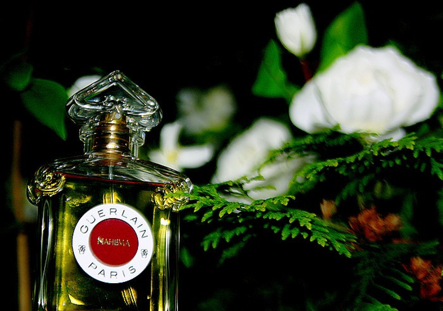 Nahema Eau de Parfum Guerlain perfume - a fragrance for women 2021