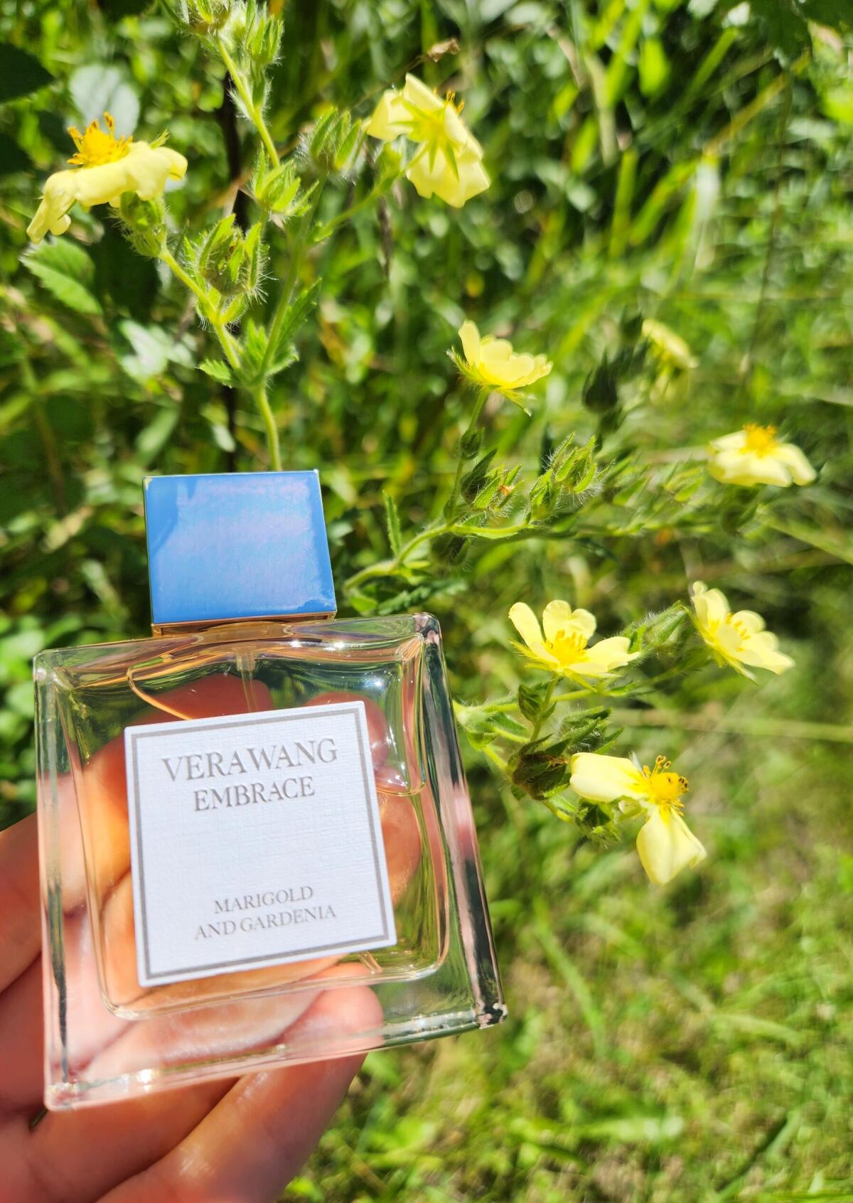 Embrace Marigold and Gardenia Vera Wang perfume - a fragrance for women ...
