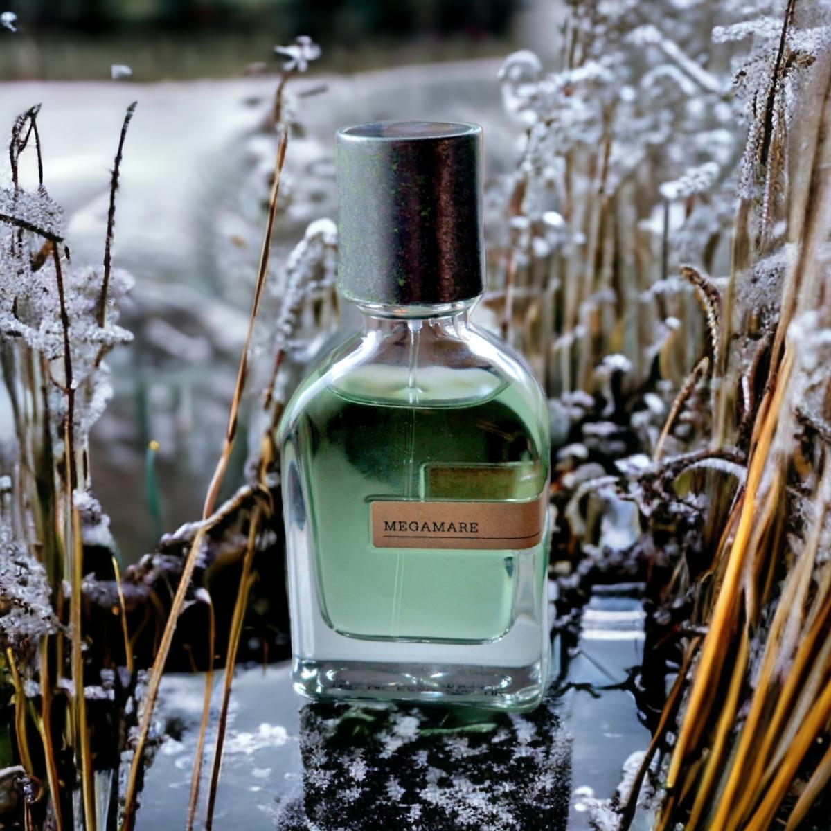 Megamare Orto Parisi parfum - un parfum pour homme et femme 2019