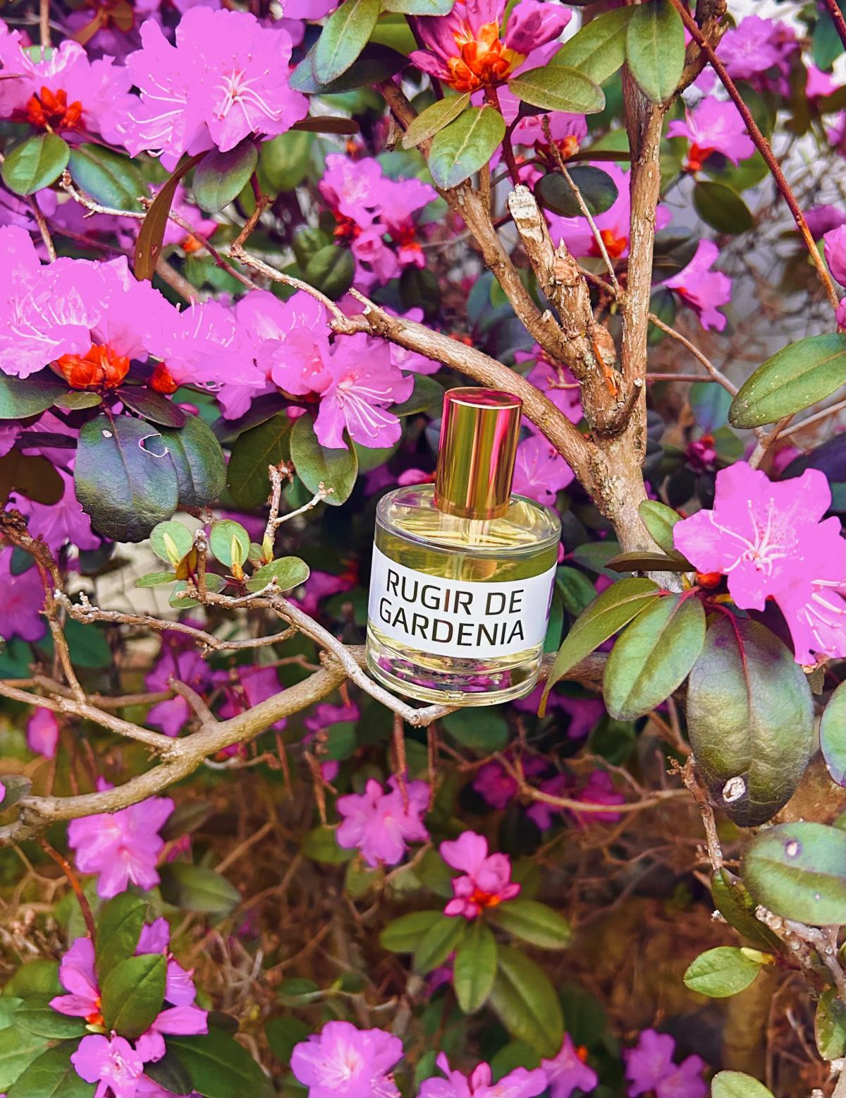 JD Rugir de Gardenia JD Jeffrey Dame perfume - a new fragrance for ...