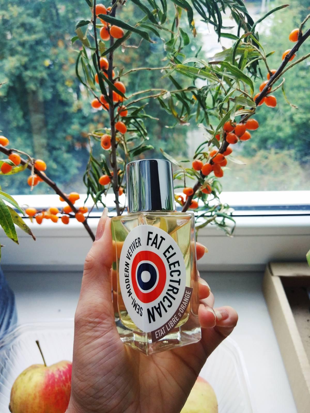 Fat Electrician Semi-Modern Vetiver Etat Libre d'Orange cologne - a ...