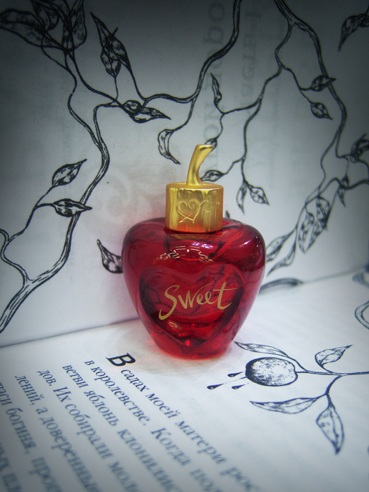 Sweet Lolita Lempicka perfume - a fragrance for women 2014