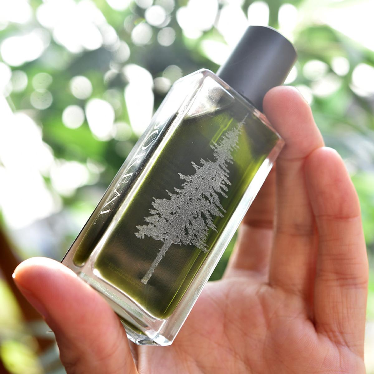 Boreal Pineward Perfumes parfém - a vůně pro ženy a muže 2020