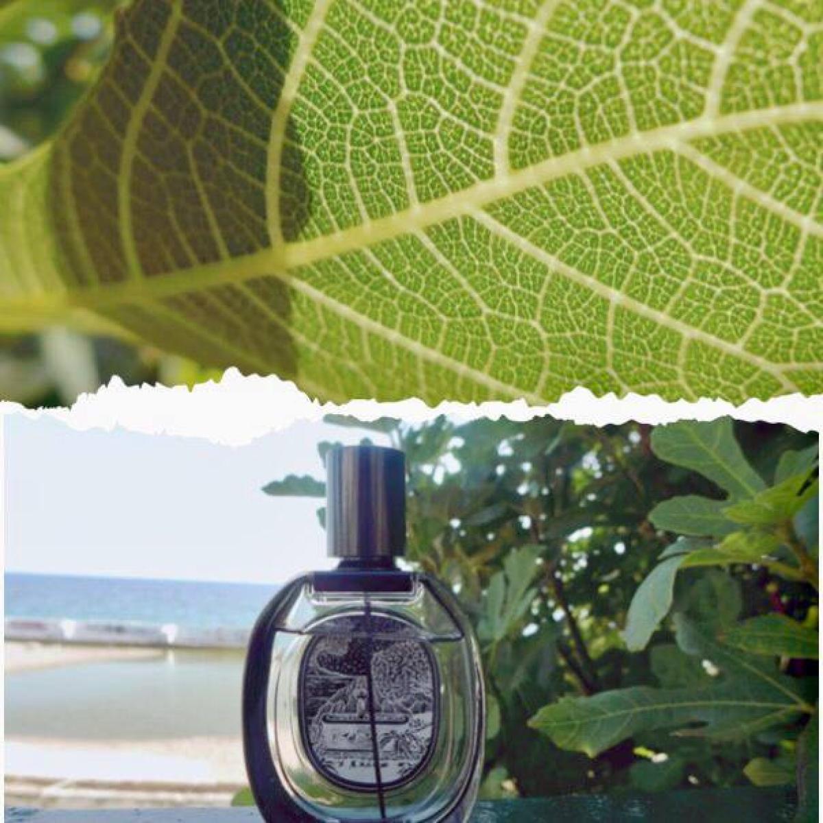 Philosykos Eau de Parfum 2012 Diptyque perfume - a fragrance for women ...