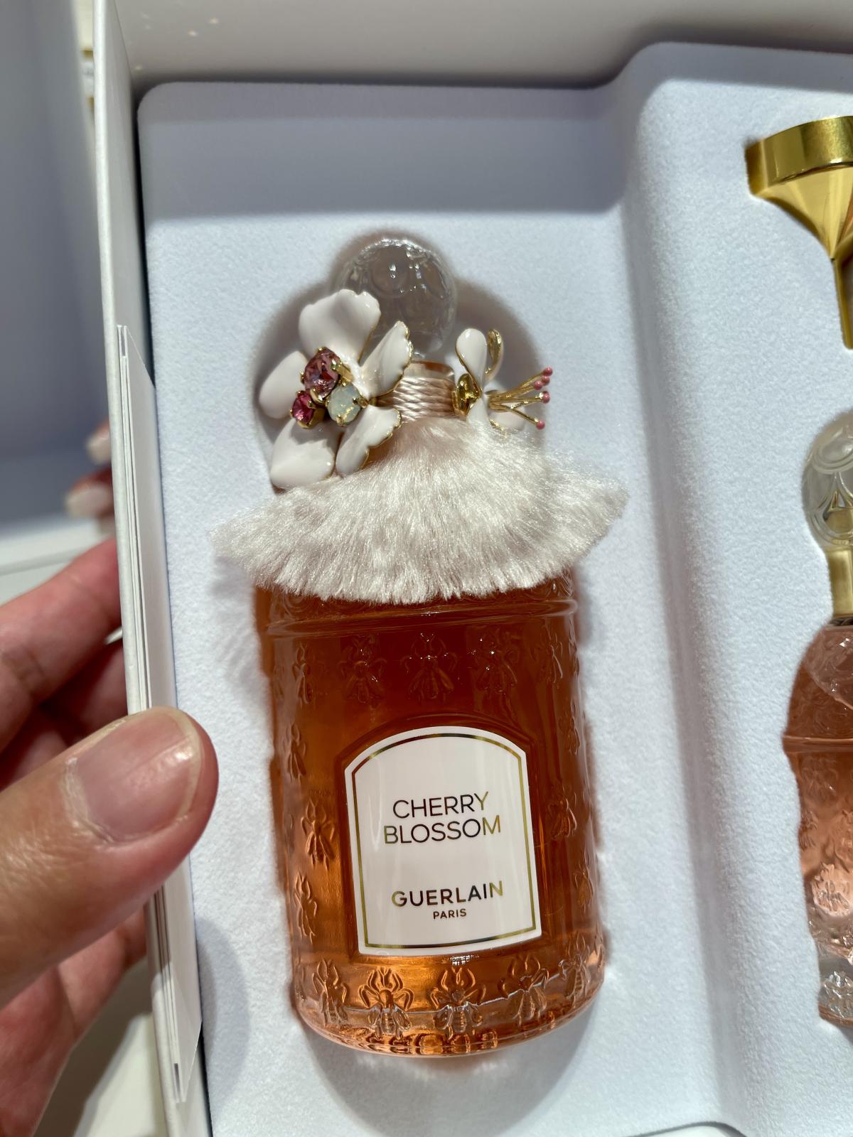 Cherry Blossom Millésime 2024 Guerlain בושם - הינו ניחוח חדש 2024 לנשים