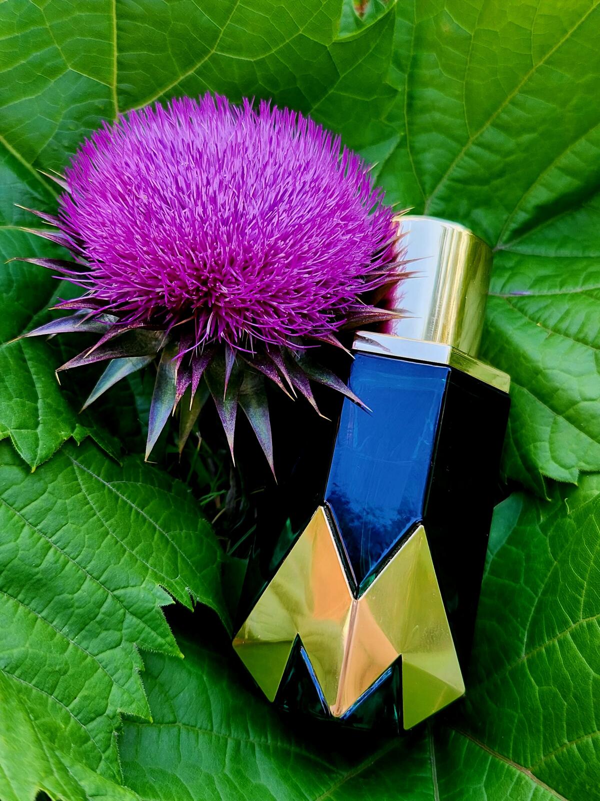 Jade Royalty by Maluma perfume - a new fragrance for women 2022