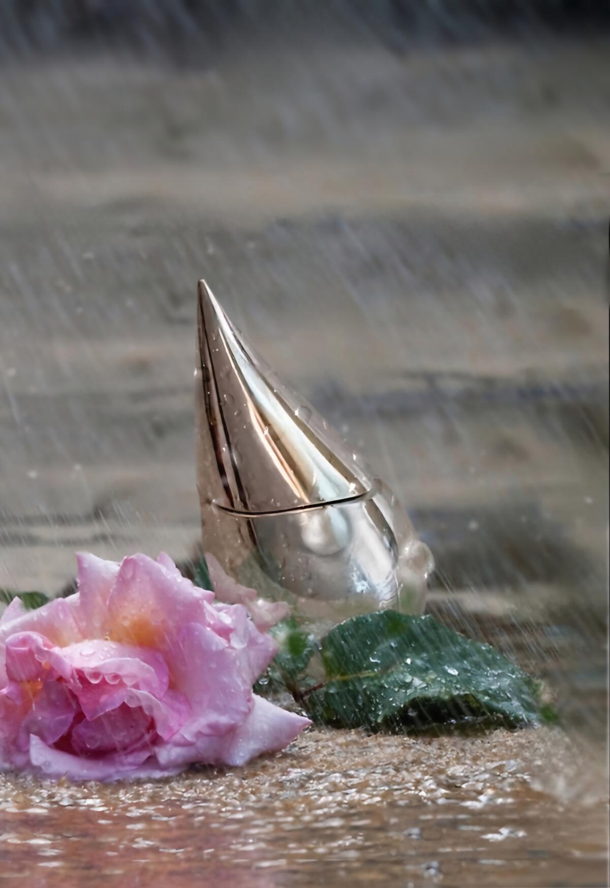 Silver Rain La Prairie perfume - a fragrance for women 2004