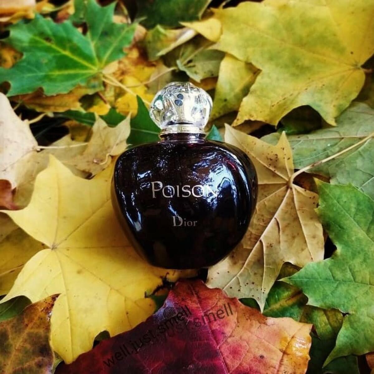 Poison Dior perfume - a fragrance for women 1985