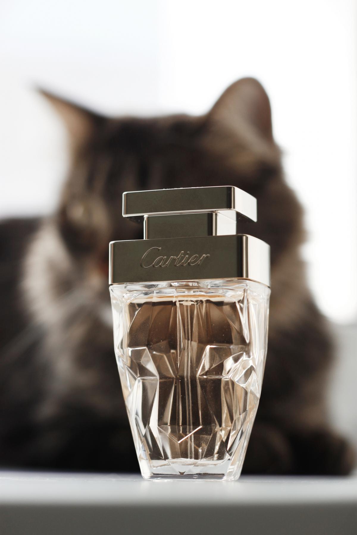 La Panthere Legere Cartier perfume - a fragrance for women 2015