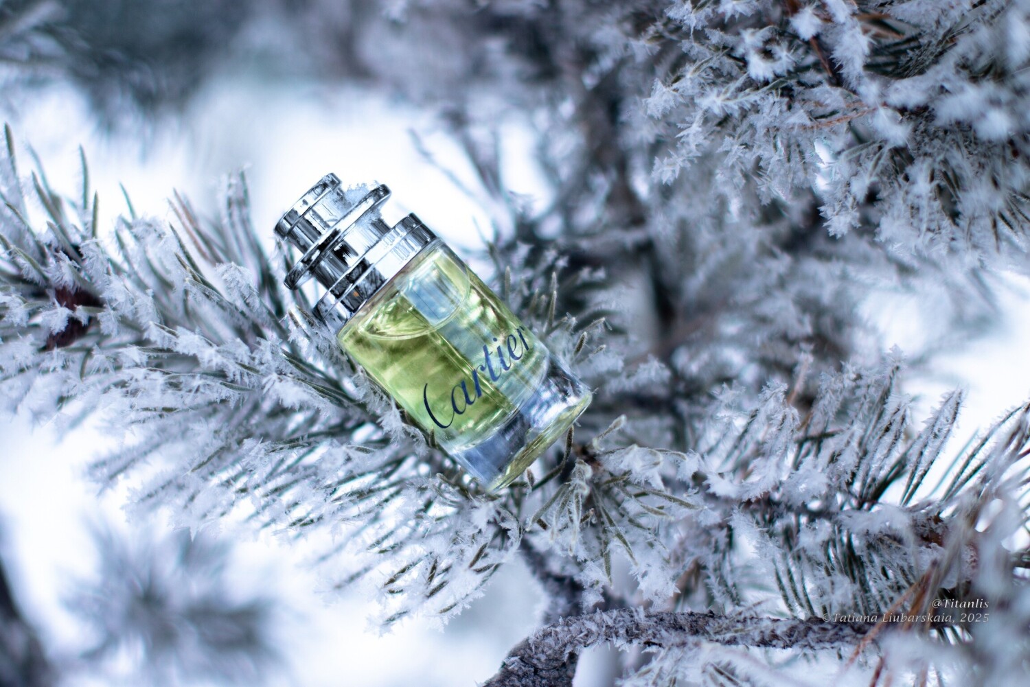 Eau de Cartier Cartier perfume - a fragrance for women and men 2001