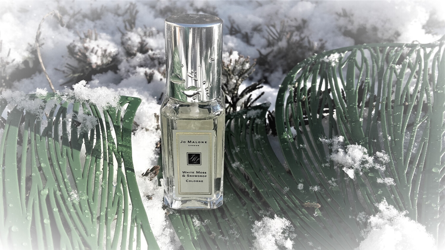 White Moss & Snowdrop Jo Malone London perfume - a fragrance for women ...