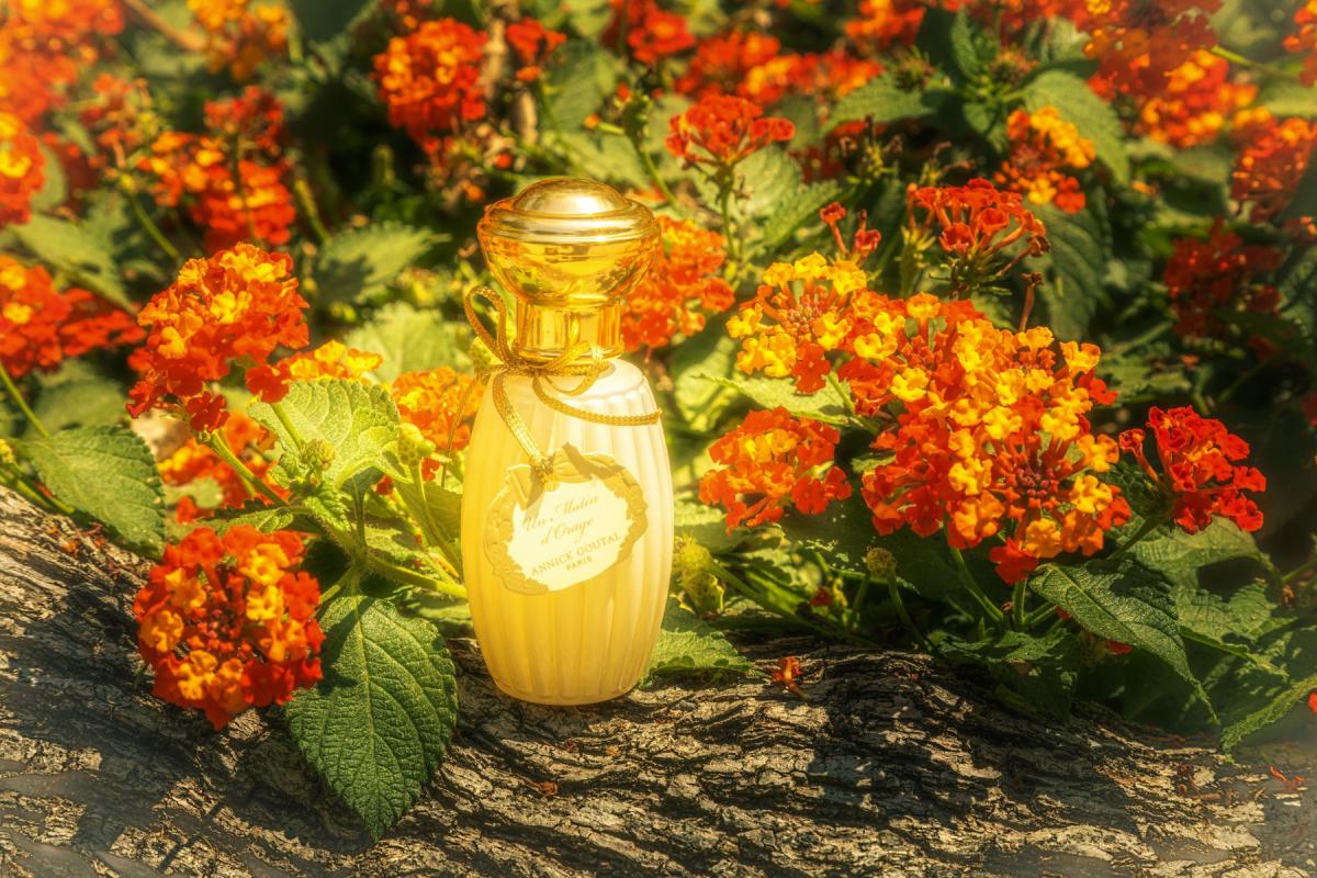 Un Matin d'Orage Goutal perfume - a fragrance for women 2009