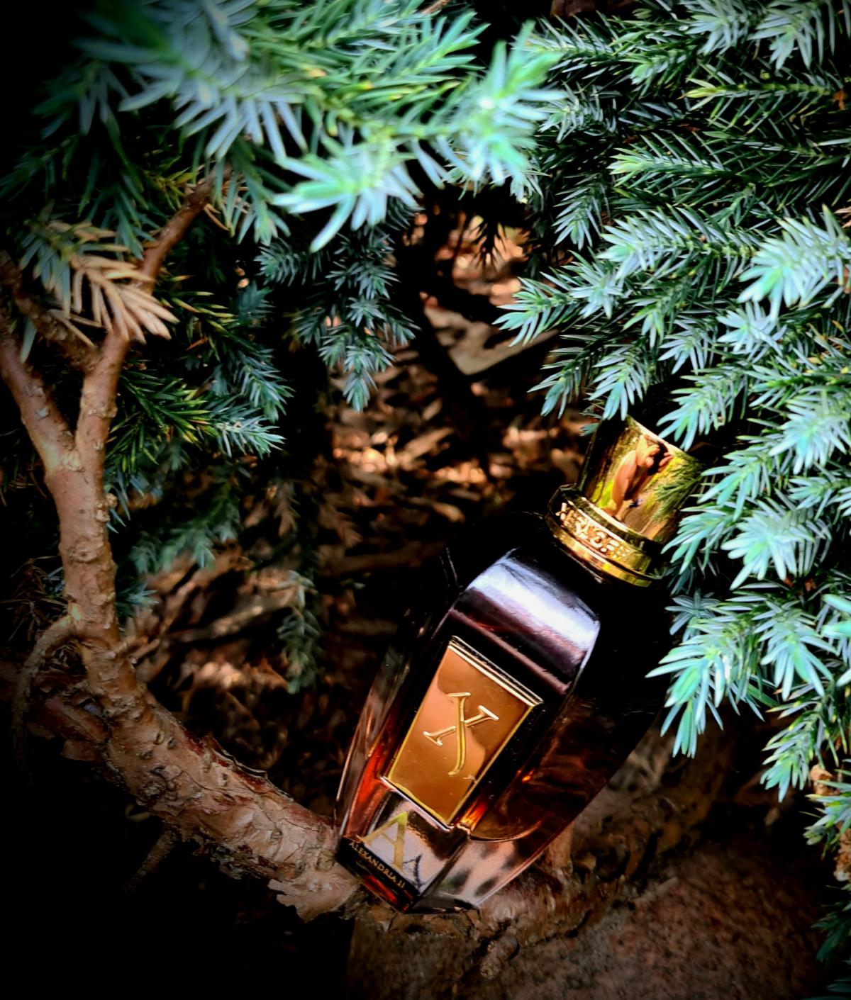 Alexandria II Xerjoff perfume - a fragrance for women and men 2012