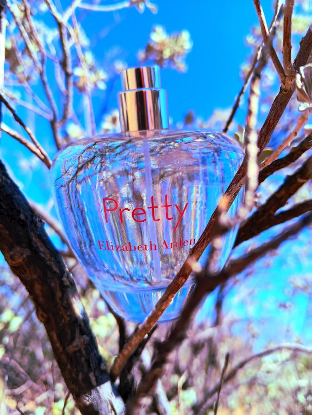 Pretty Elizabeth Arden perfume - a fragrance for women 2009