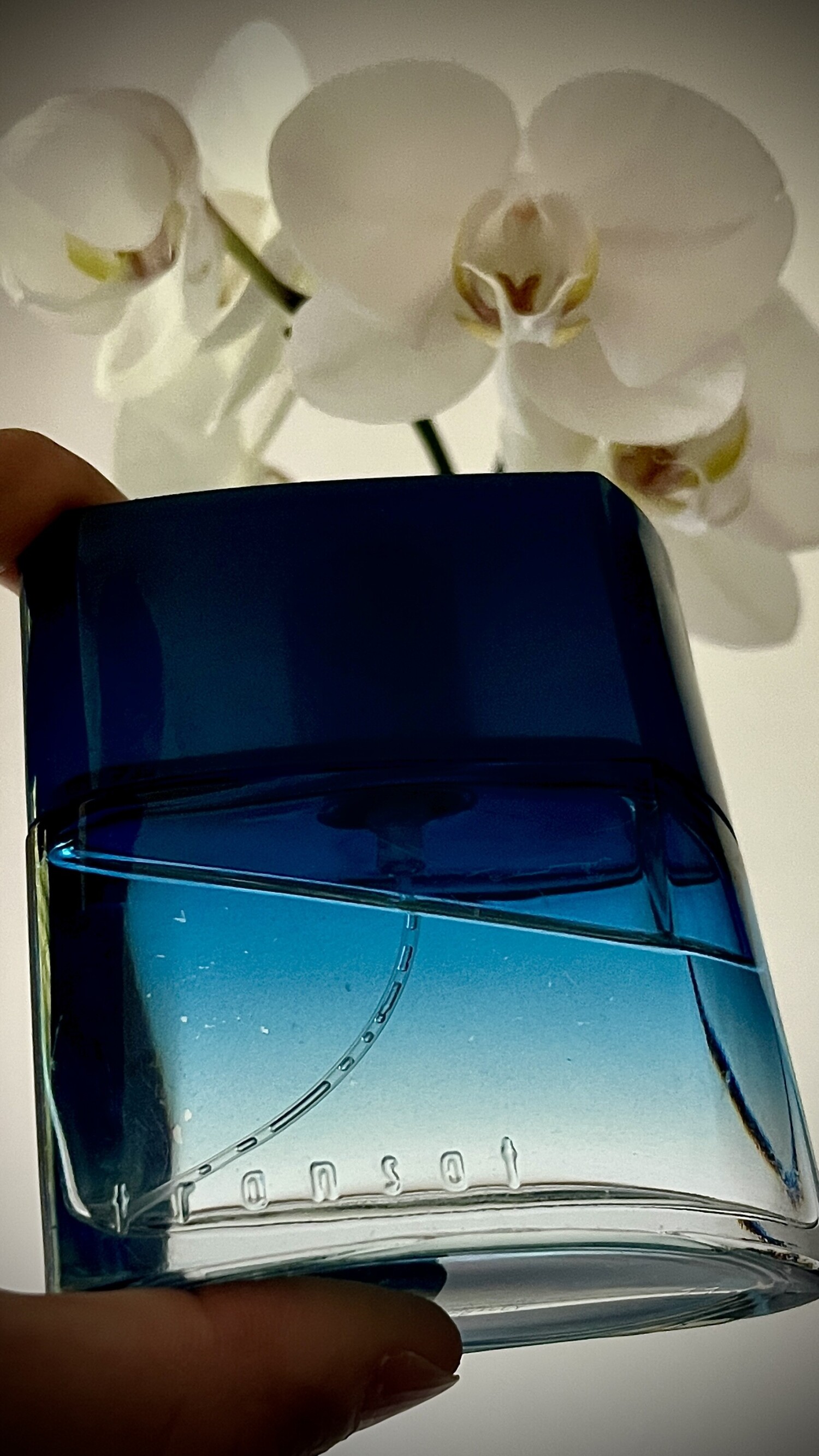 5centman ~ Yves Rocher Transat... (325249)