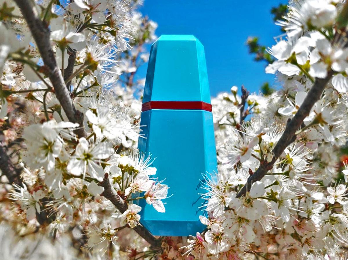 LouLou Cacharel perfume - a fragrância Feminino 1987