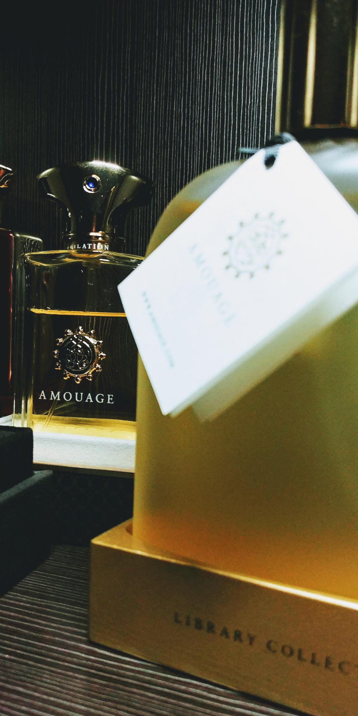The Library Collection Opus VI Amouage parfum - un parfum pour homme et ...