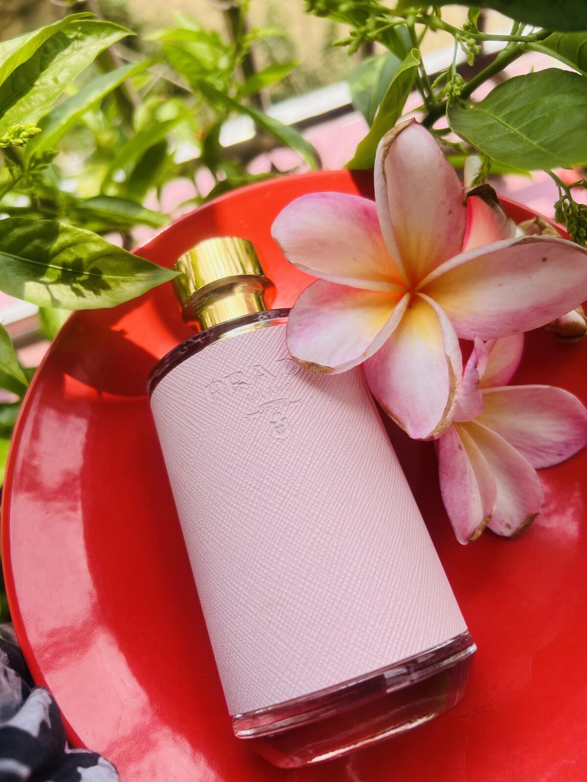 Prada La Femme L'Eau Prada perfume - a fragrance for women 2017