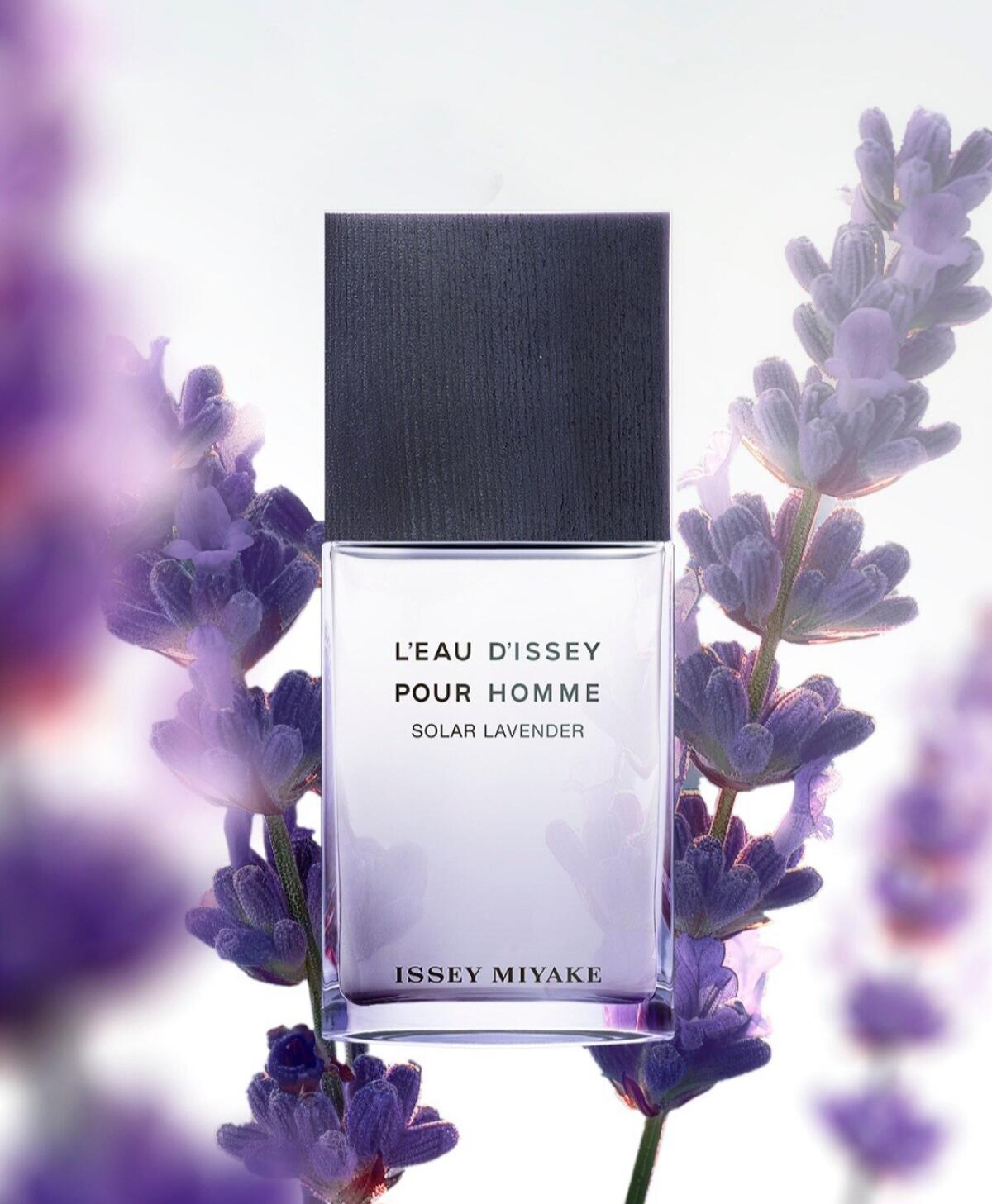 L'Eau d'Issey pour Homme Solar Lavender Issey Miyake קולון - הינו ניחוח ...