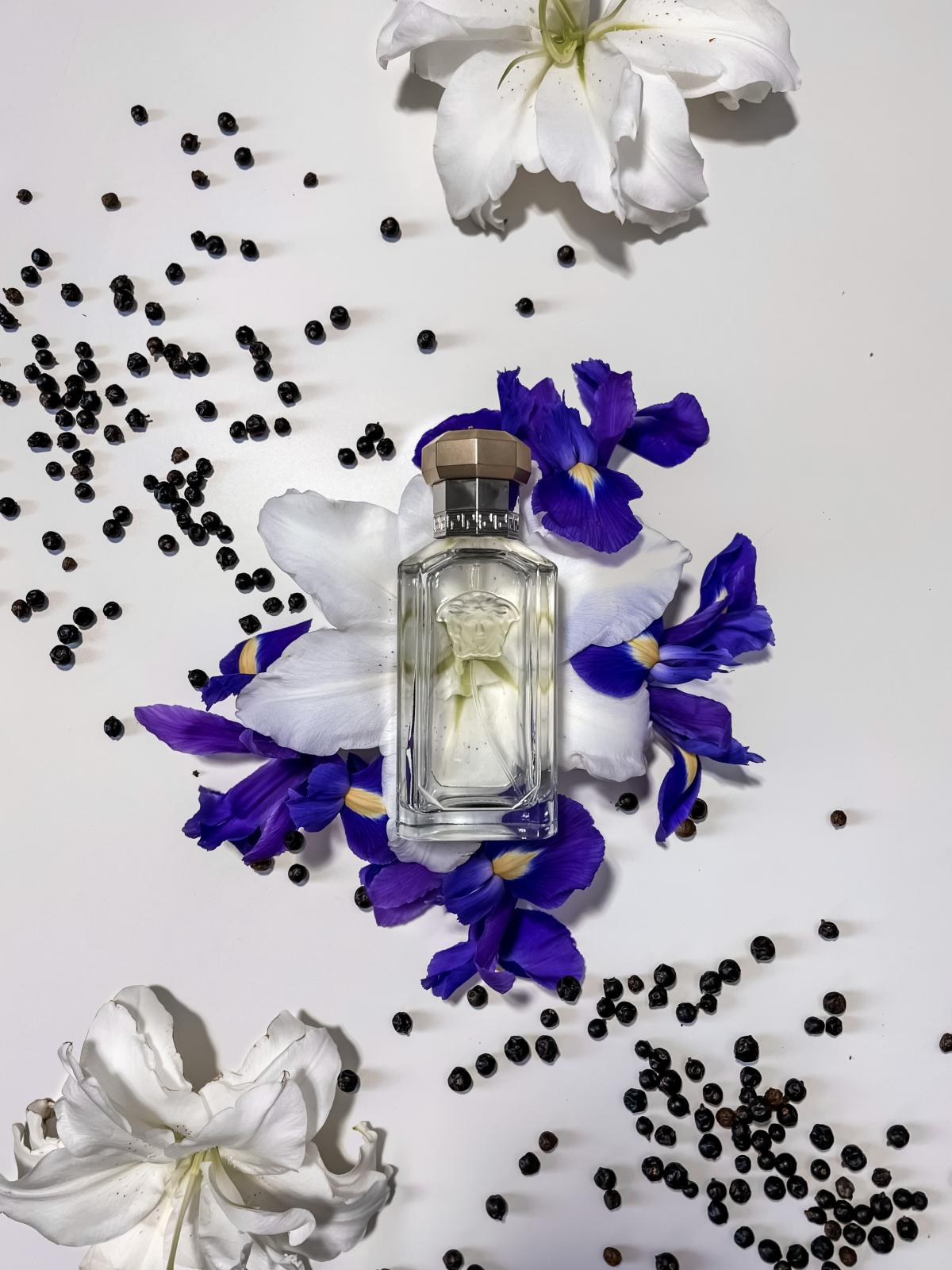 The Dreamer Versace cologne - a fragrance for men