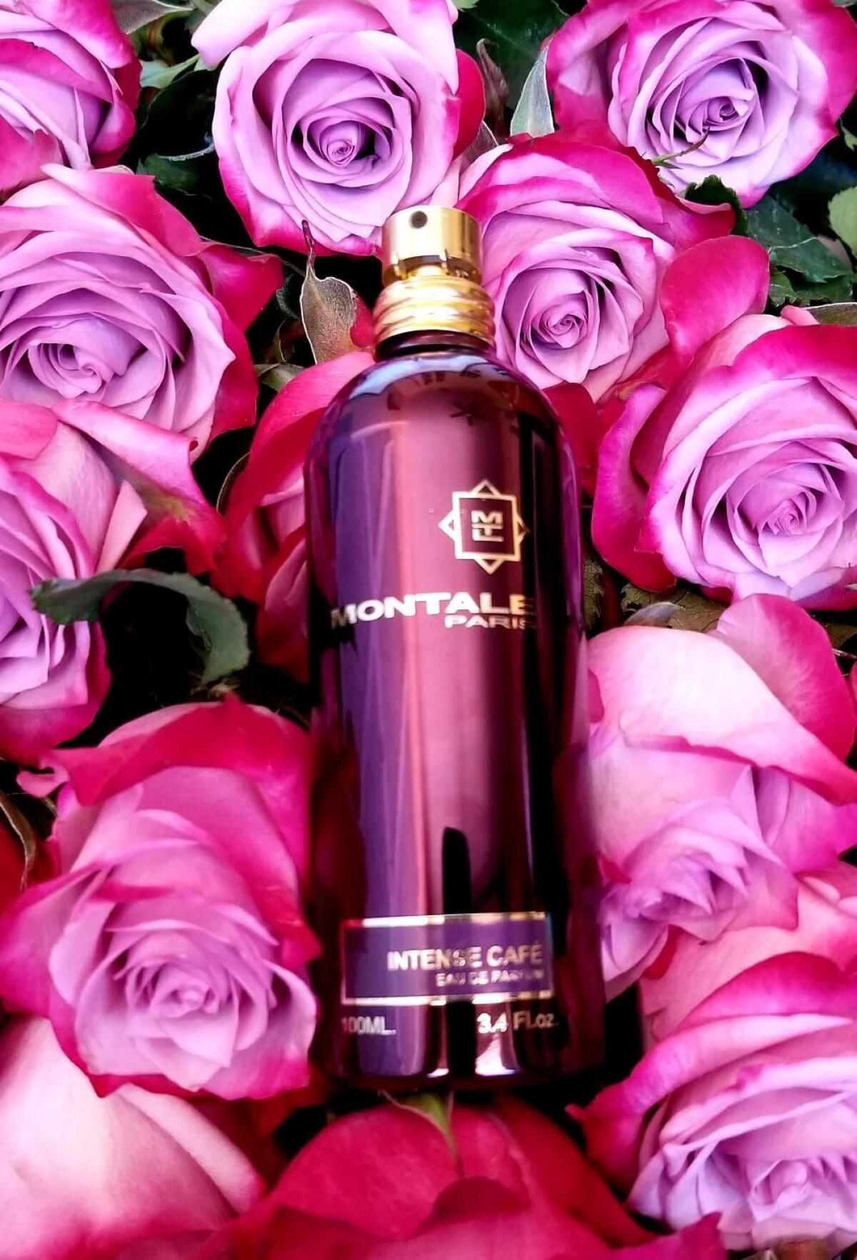 Intense Cafe Montale perfume - a fragrance for women and men 2013