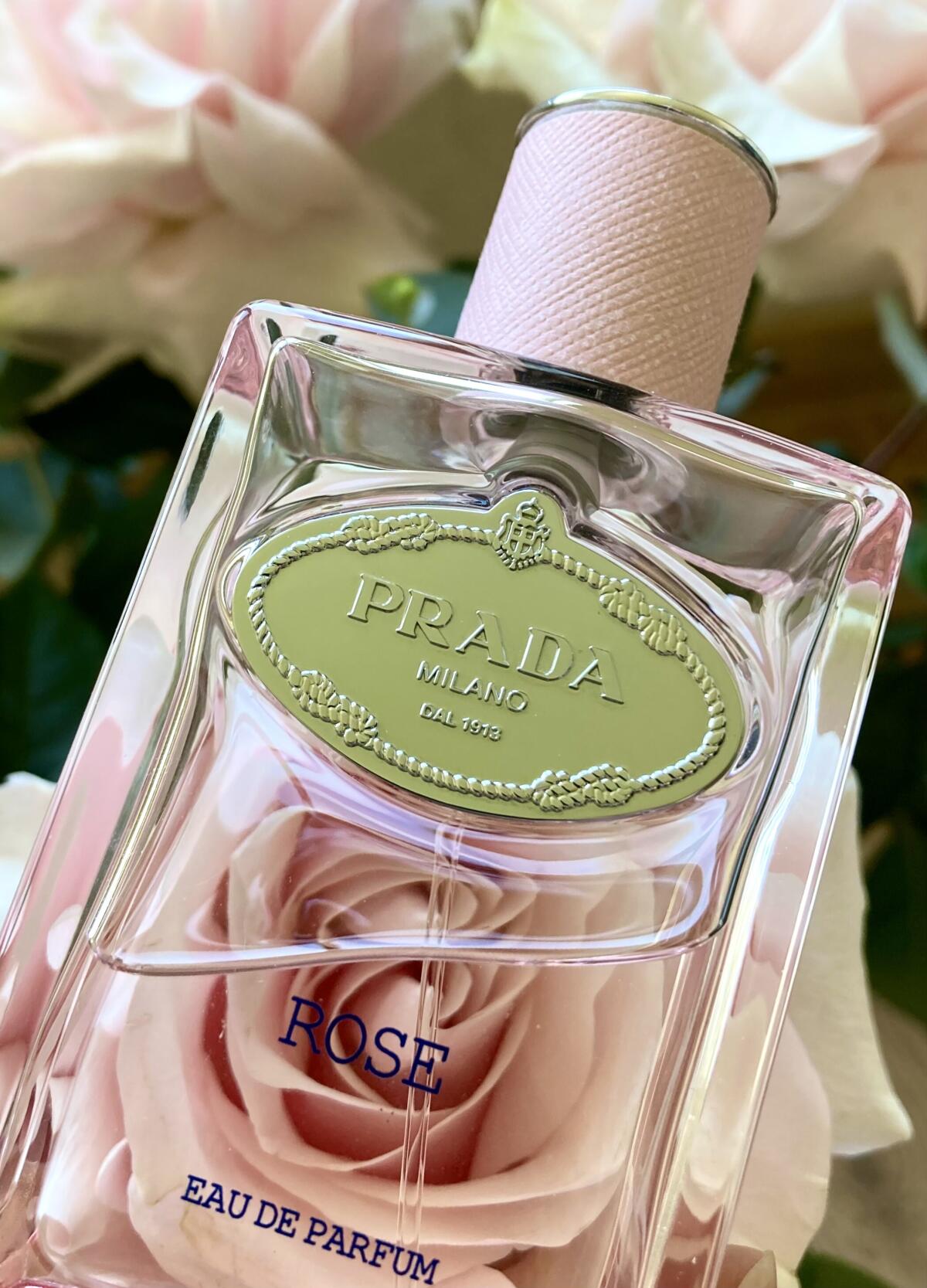 Infusion de Rose (2017) Prada perfume - a fragrance for women 2017