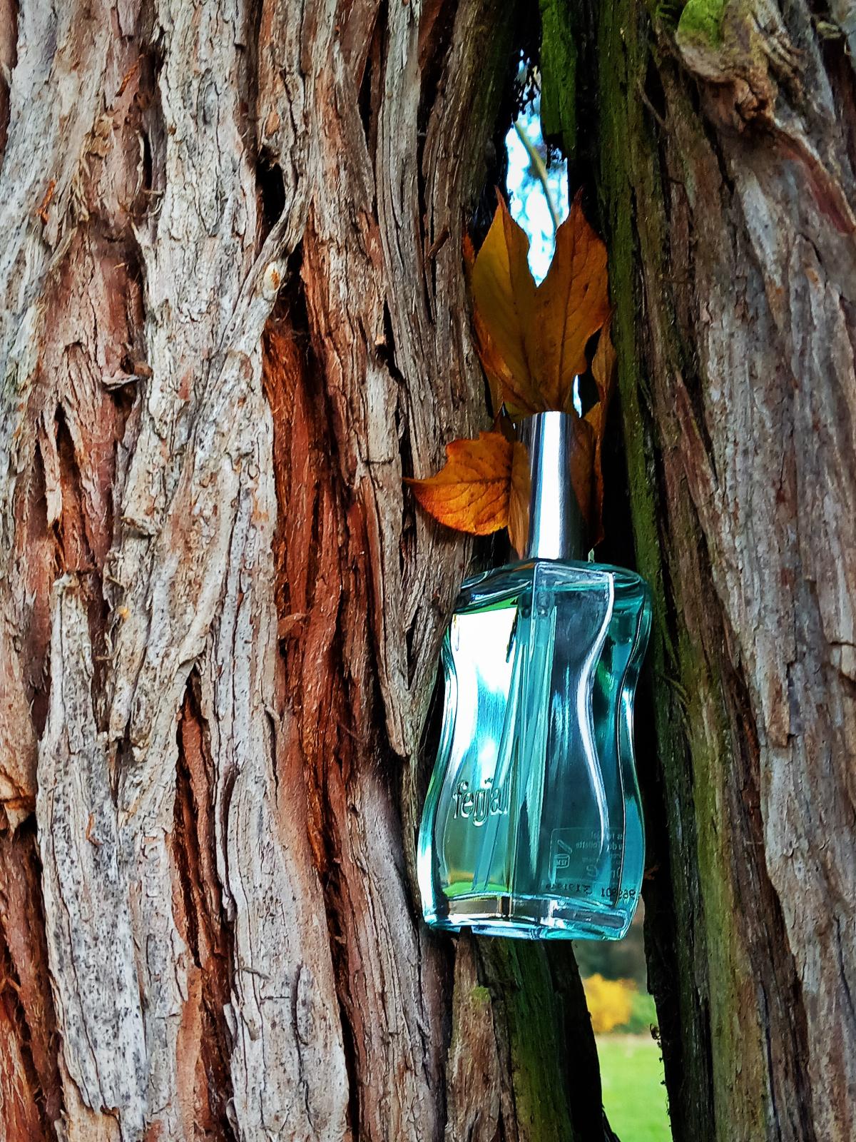 Miss Fenjal Classic Fenjal perfume - a fragrance for women