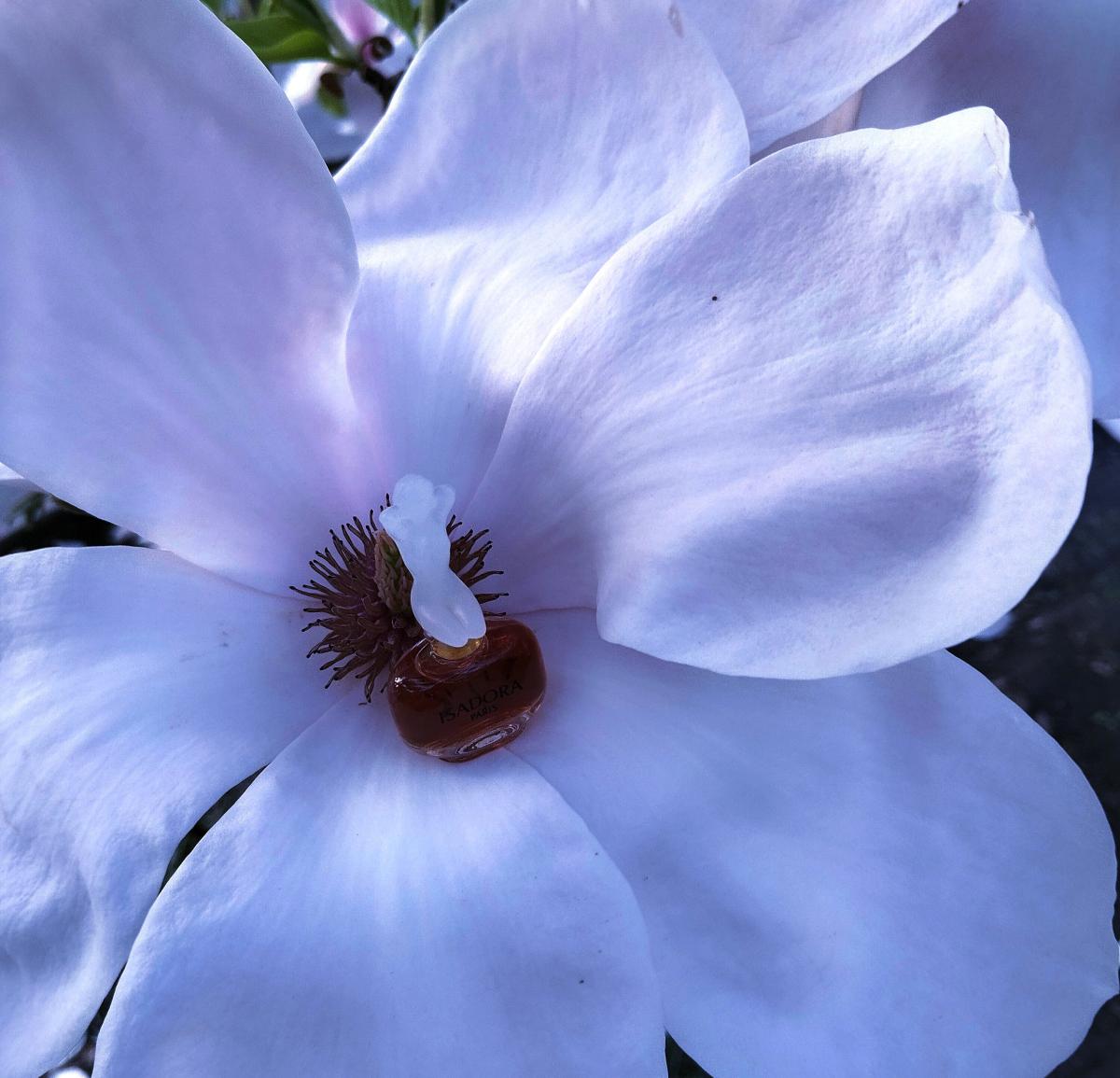 Isadora Isadora Paris perfume - a fragrance for women 1976